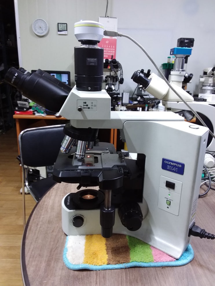 해상력과 성능좋은 OLYMPUS BX41 3안위상차 CCD현미경 : 네이버 블로그