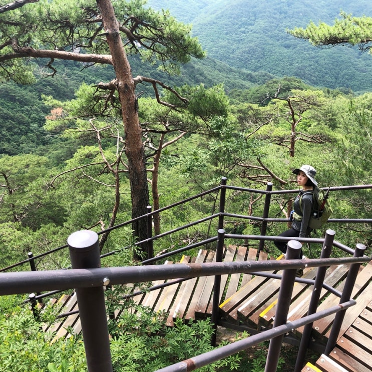 충북 괴산 칠보산 등산코스 떡바위 칠보산 쌍곡폭포 쌍곡계곡 쌍곡휴게소 네이버 블로그