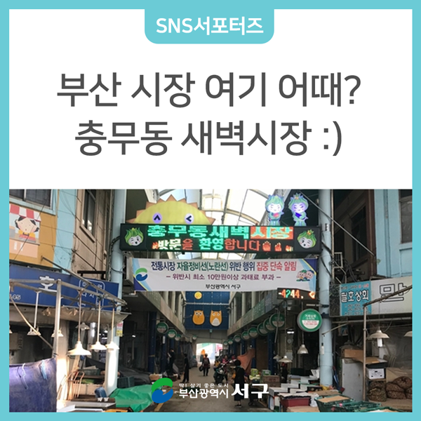 2019 서구 Sns 서포터즈 부산 시장 여기 어때 충무동 새벽시장 네이버 블로그