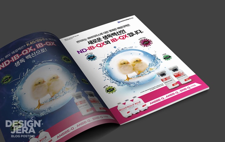 [잡지광고디자인] 동물의약품전문연구소 - 대성미생물연구소 'ND.IB-QX'와 IB-QX' 광고디자인 : 네이버 블로그