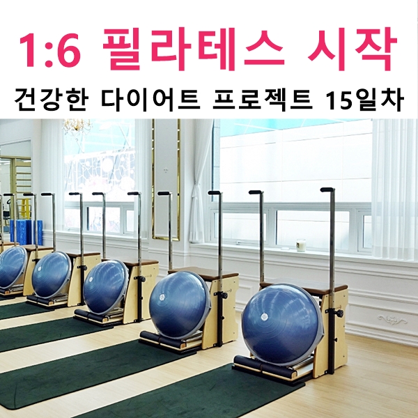 노원 필라테스 다이어트 프로젝트 15일차 에스바디워크필라테스 시작 네이버 블로그