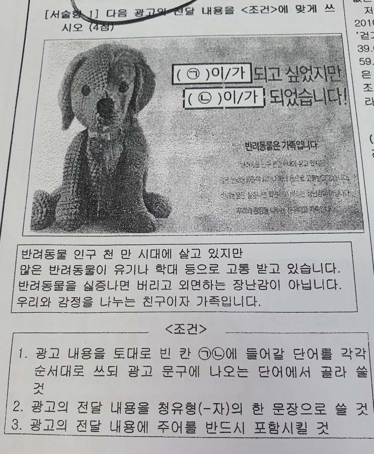 부산 국어 학원 동래구 국어 학원 사직동 국어 학원 2019년 장독대 국어논술 학원 1학기 기말 중3 사직여중 시험지 분석