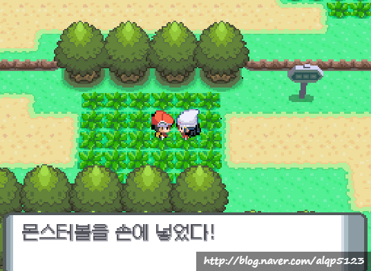 포켓몬스터 디아루가 축복시티 : 네이버 블로그
