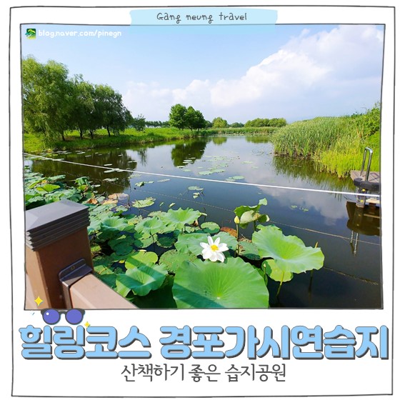 강릉 여행 강릉 가볼만한곳 경포가시연습지 산책하기좋은 습지공원 힐링데이트 네이버 블로그