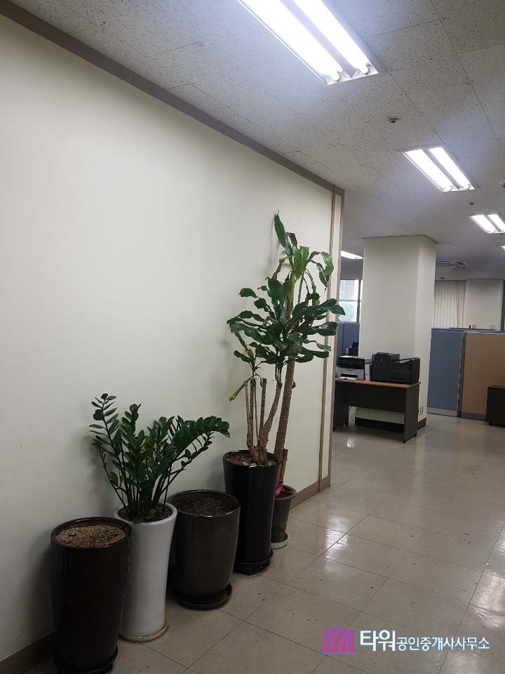 구로동사무실구로동아파트형공장전용113평 룸9개 대형사무실 임대 구로동임대사무실구로디지털단지사무실구로동사무실매매대륭