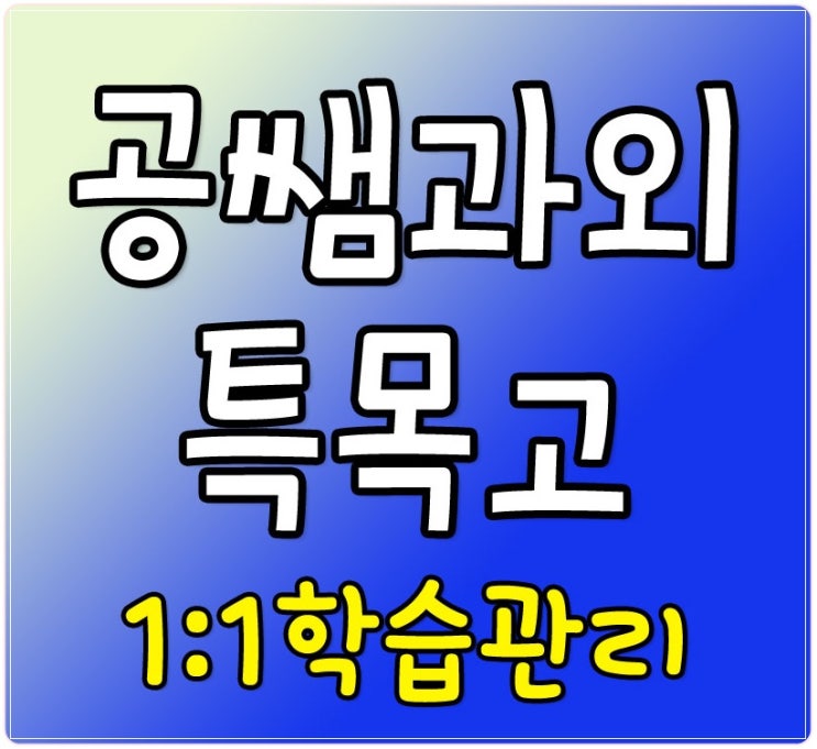서울외고 대일외고 전문 내신대비 영어과외 수학과외 국어과외 방학특강 교육프로그램 기간 네이버 블로그