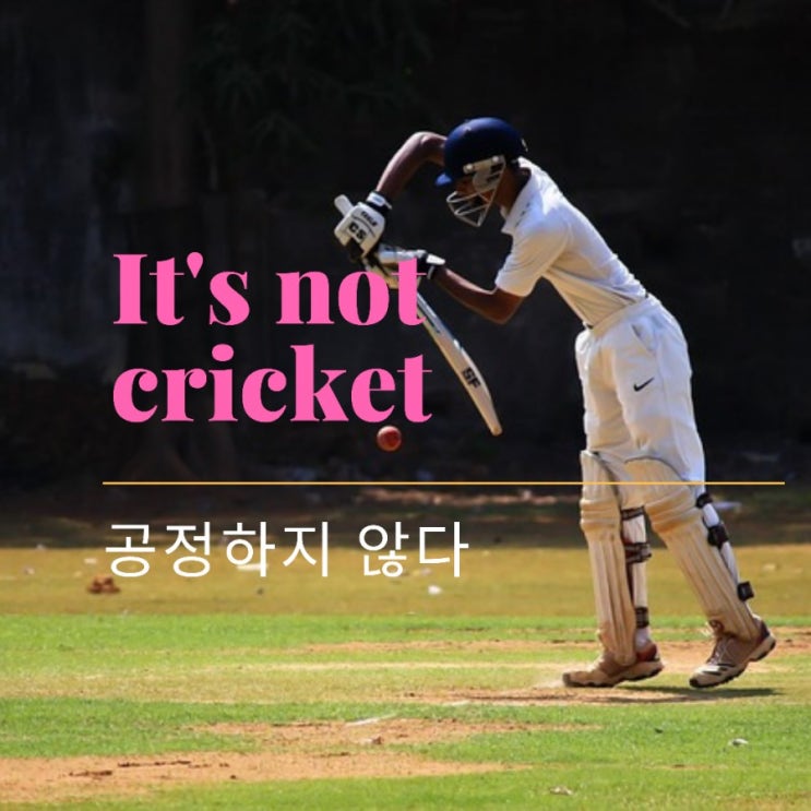 It's not cricket/공정하지 않다 : 네이버 블로그
