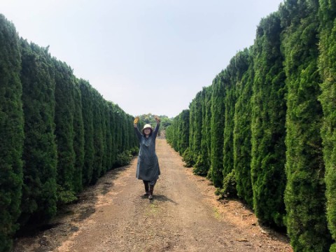 정원가꾸기 : 네이버 블로그