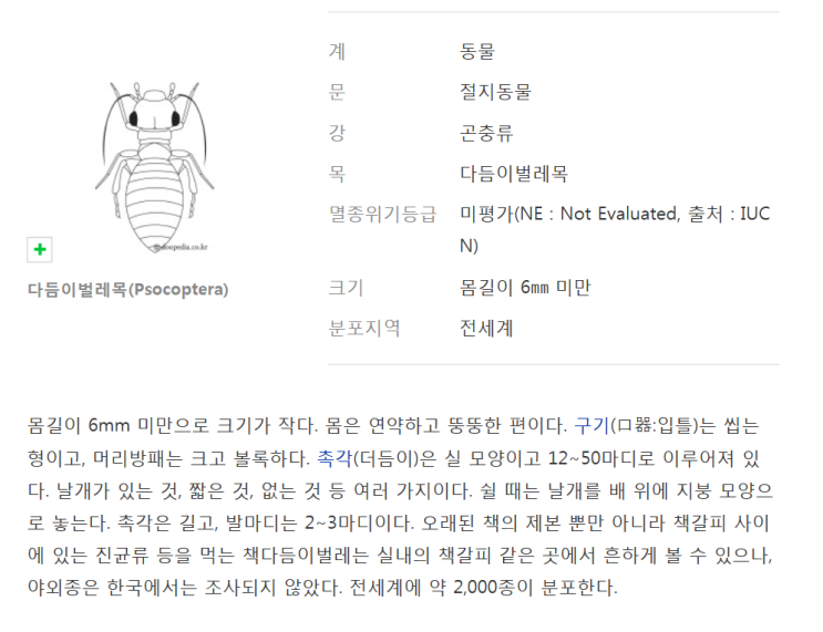 먼지다듬이(liposcelis divinatorius) : 네이버 블로그