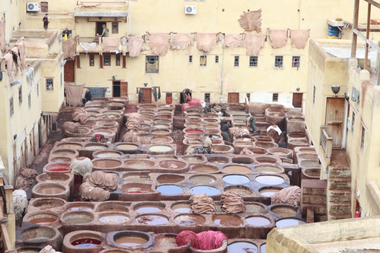 세계여행 137일차_모로코 페즈(숙소 추천_DAL EL MATHAF/ 맛집 Snak Belmlih/ 메디나/ 가죽 염색 공장 ...