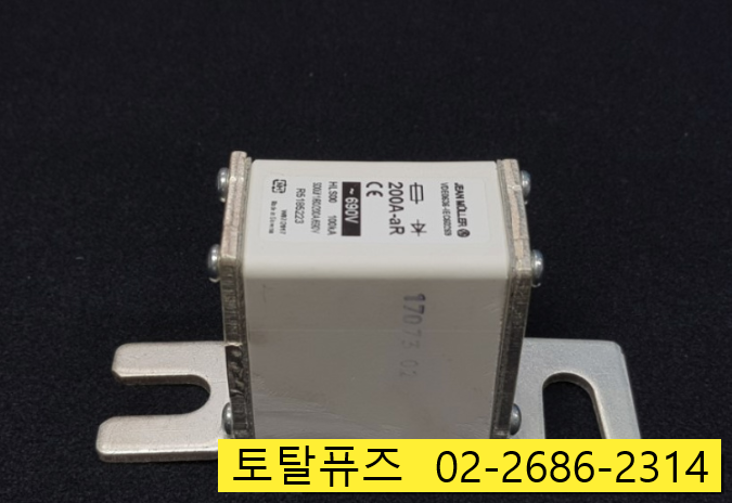 R5185623 , JEAN MULLER , FUSE 퓨즈 VDE0636-IEC60269, 250A -aR ~690V HLS00 ...