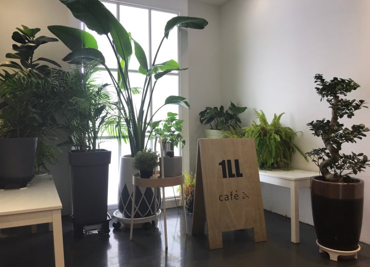 [대구 북구 산격동/경대북문/편안한 분위기의 감성 카페] #1LL(일) : 네이버 블로그