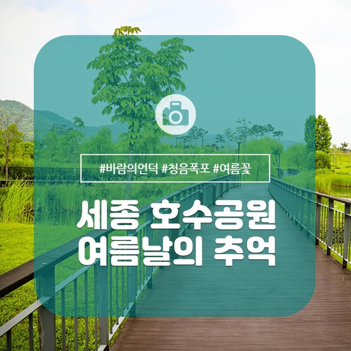 예쁜 여름꽃부터 바람의 언덕 청음폭포와 분수까지 세종 호수 공원에서 추억을 네이버 블로그