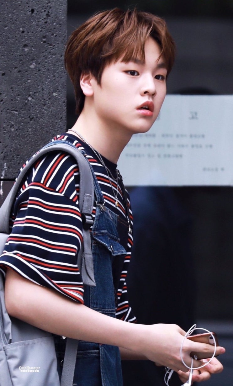 [프로듀스X101남도현얼킨오버롤]UL:KIN COLLECTION LABEL_COLORBLOCKED DENIM OVERALL ...