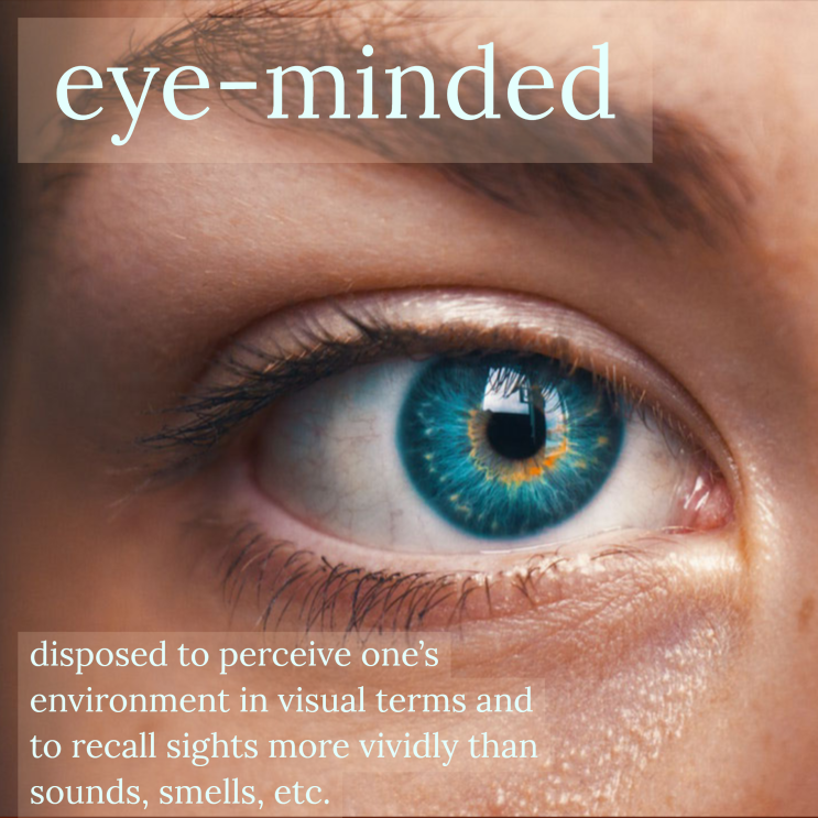 [슈가영어]슈가쌤의 VOCA(86): eyeminded(눈으로 기억하는, 시각형의, 시각 기억의 : 네이버 블로그