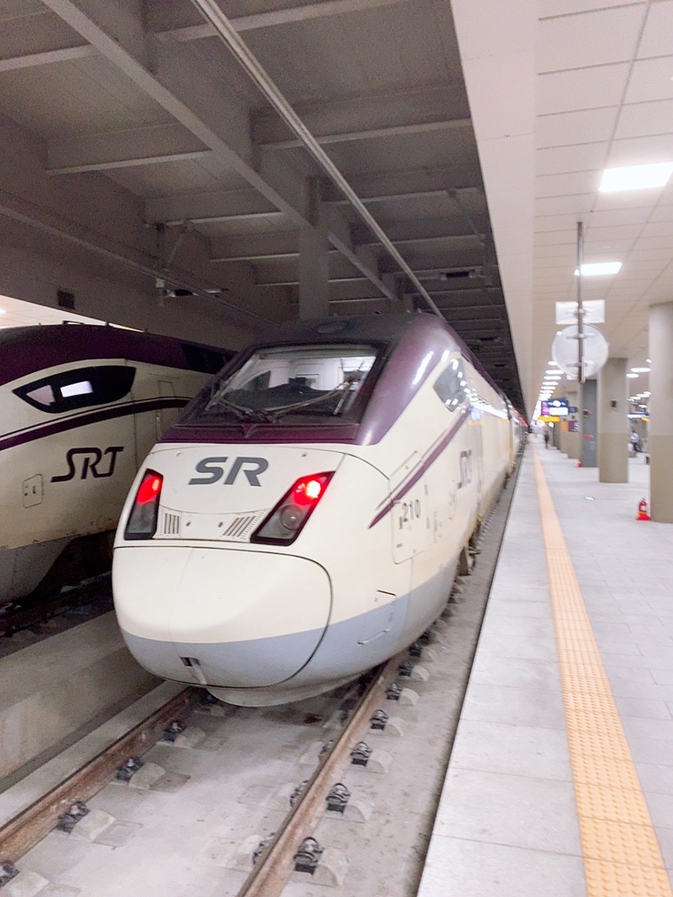 [SRT 예약날짜 가능한 기간]수서 SRT 가는방법 및 미리 예약하기 : 네이버 블로그