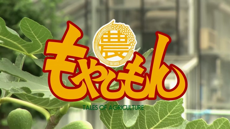 모야시몬 : 네이버 블로그