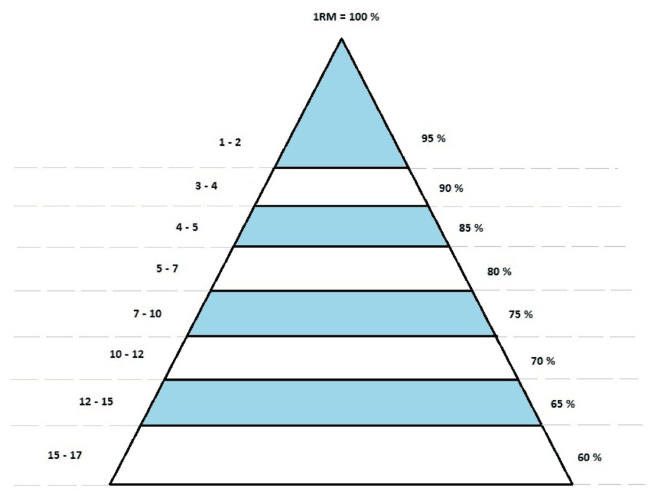 1RM을 알아야 제대로된 운동을 할 수 있다! : 네이버 블로그