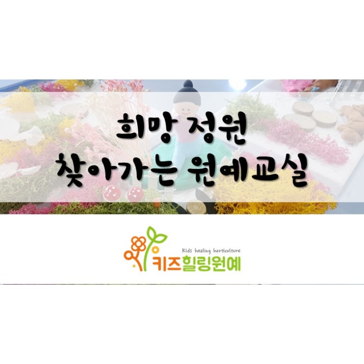 꼬마농부의 작은 식물원 키즈힐링원예 원예교실 찾아가는체험학습 전국출강 파주 세종 청주 충주 대구 울산 용인