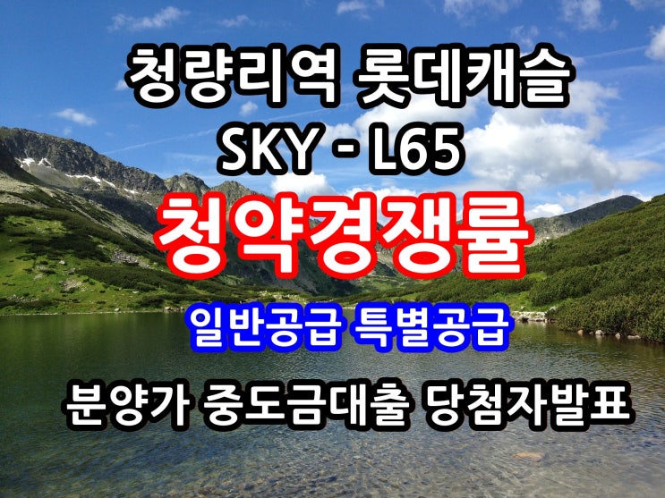 청량리역 롯데캐슬 Sky L65 청약경쟁률 당첨자발표 서류제출 분양가 중도금대출 견본주택 일반공급 신혼부부 다자녀가구 노부모부양