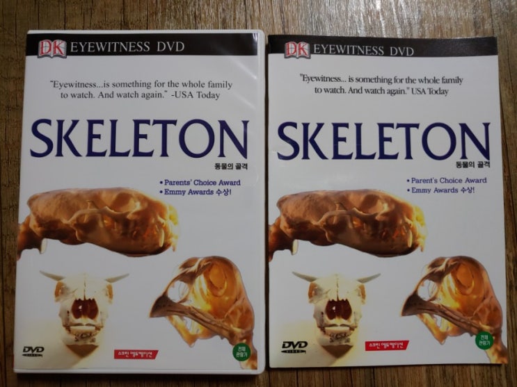 DK Eyewitness-SKELETON(4주) : 네이버 블로그