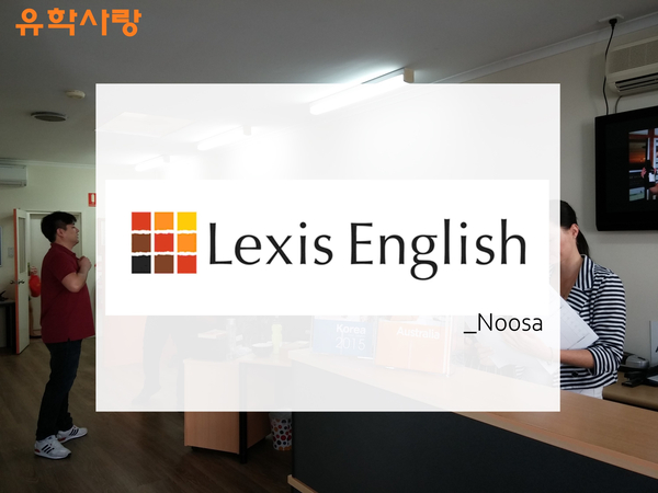 호주 누사어학원 가족적인 분위기의 Lexis어학원렉시스어학원 네이버 블로그