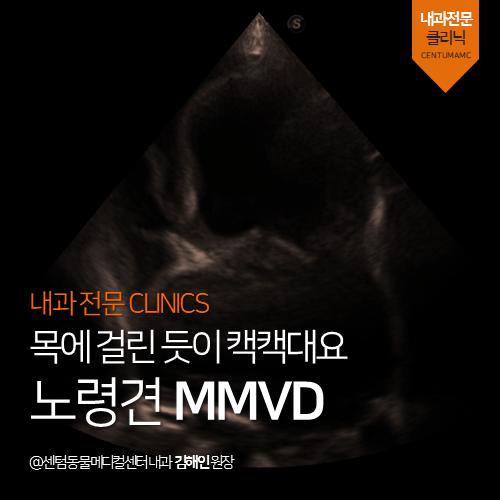 [심장전문진료] 강아지 MMVD (이첨판 폐쇄부전증) : 네이버 블로그