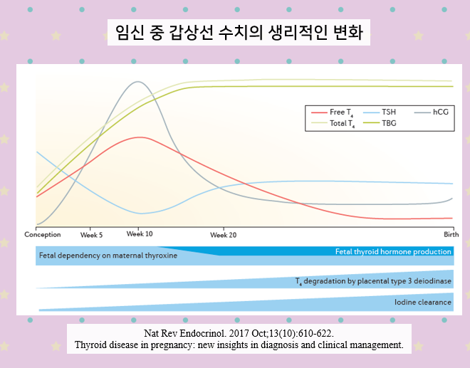 임신 중 갑상선수치 이상 기준과 갑상선기능저하증 관리 2017 미국갑상선협회 가이드라인 리뷰 네이버 블로그