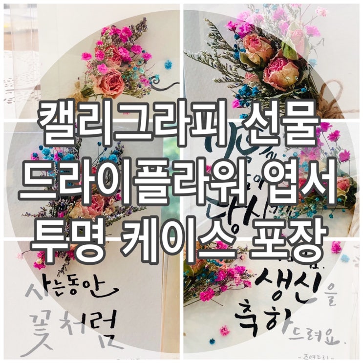 아 글see 캘리그라피 선물 드라이플라워 엽서 투명 케이스 포장 당진 캘리그라피 배달강좌 카페에서 캘리그라피 드라이플라워 엽서 투명 케이스 감성 담은 선물