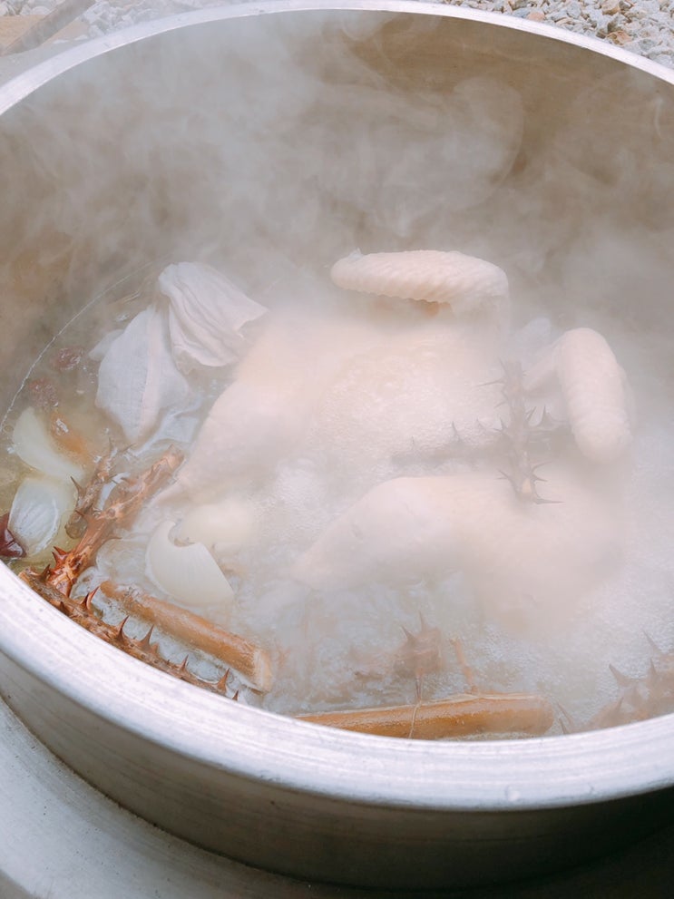 굼프로 매일 바쁜 일상 발효톱밥 판매 굼벵이 알받기 굼벵이 닭백숙 만들기 협력농가 특별 분양굼벵이 굼벵이키우기