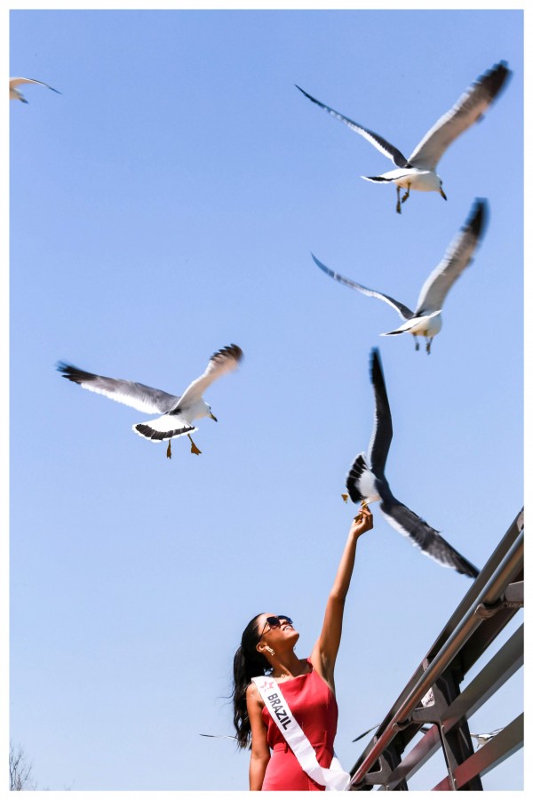 [포토2470]‘국민 과자’ 새우깡의 주원료인 군산 꽃새우 수난시대. : 네이버 블로그