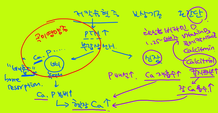 저칼슘혈증(Hypocalcemia) 테타니(tetany) 원리: Chvostek's/trousseau's sign : 네이버 블로그