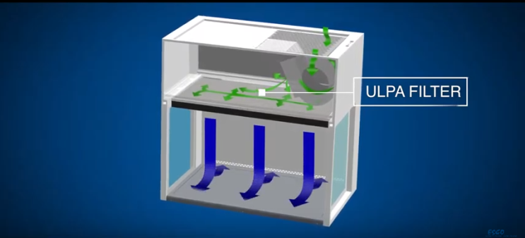 [ESCO] Esco Airstream® Vertical Laminar Flow Cabinet - 클린벤치 : 네이버 블로그