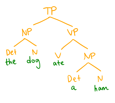 Syntax - Phrase Structure Rules, Specifiers, Complements, Tree ...