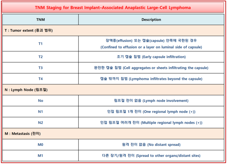 BIA-ALCL NCCN Guidelines (Version 2.2019) : 네이버 블로그