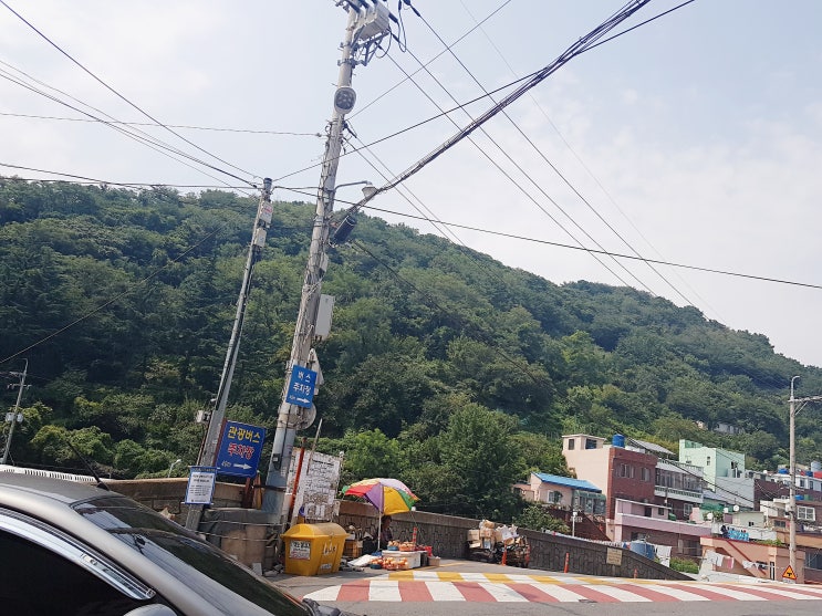 찹차비와 부산 여행(19.8.4) 감천문화마을 (사진만 개 많음) : 네이버 블로그