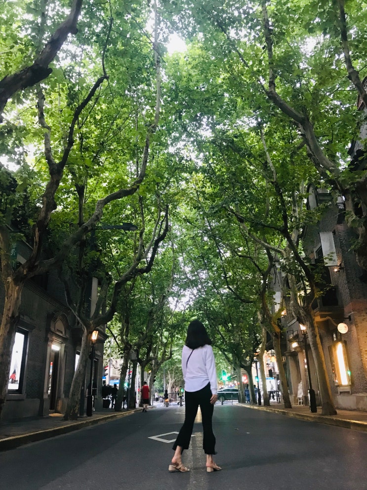 #중국 - 상해 신천지 / 응커피 %Arabica / Heytea 시차 / LeTAO 르타오 / GREEN&SAFE : 네이버 블로그