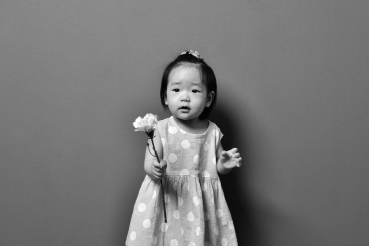 [설's 이야기] 8월 여름 이야기 : 네이버 블로그