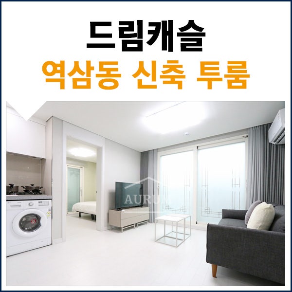 강남 풀옵션 모던한 인테리어의 투룸 신축 드림캐슬 네이버 블로그