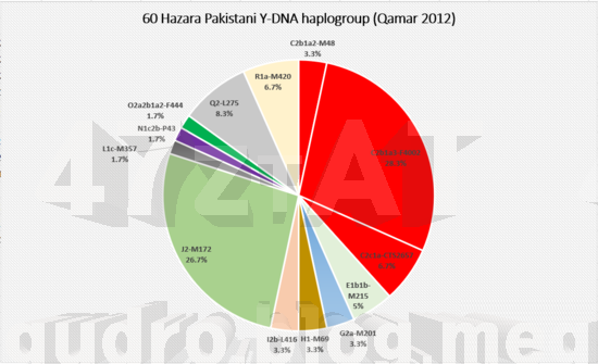 하자라족의 Y-DNA 하플로 그룹 구성 (Hazara people Y-DNA haplogroup Хазара-гийн ...