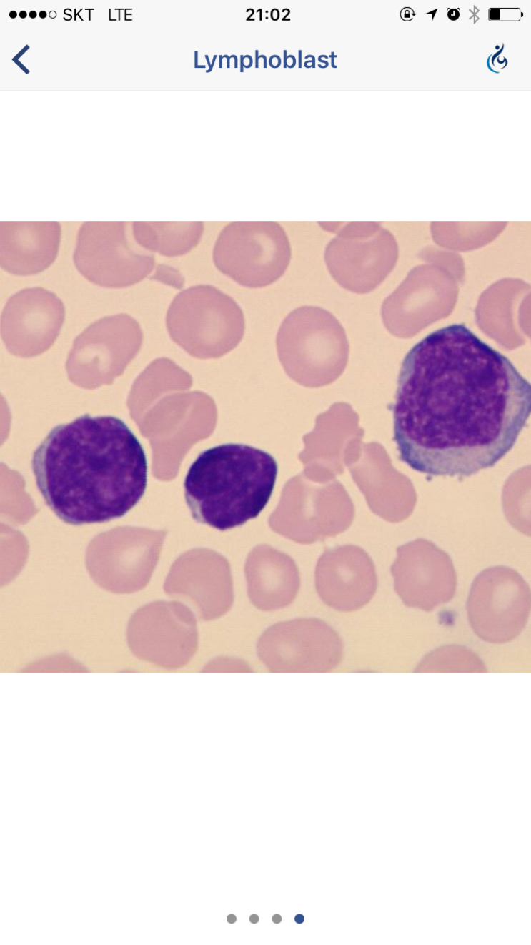 wbc diffcount 도감(출처:인스타그램 : 네이버 블로그