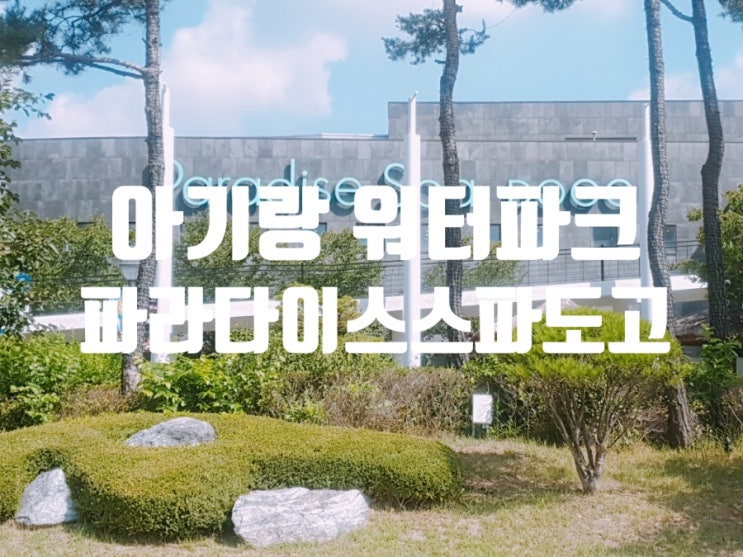 아기랑 워터파크 아산 파라다이스 스파 도고 네이버 블로그