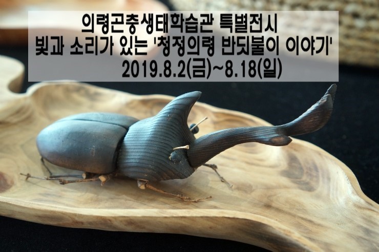의령곤충생태학습관 특별전시 빛과 소리가 있는 청정 의령 반딧불이 이야기 네이버 블로그