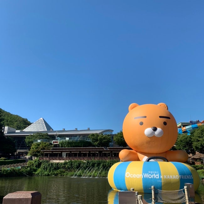 홍천워터파크 대명 비발디 파크 오션월드 네이버 블로그