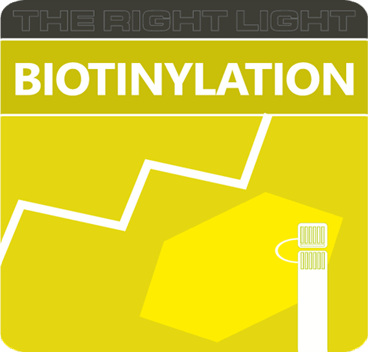 Cyanagen BIOTINYLATION, amine-reactive biotinylation reagents for ...