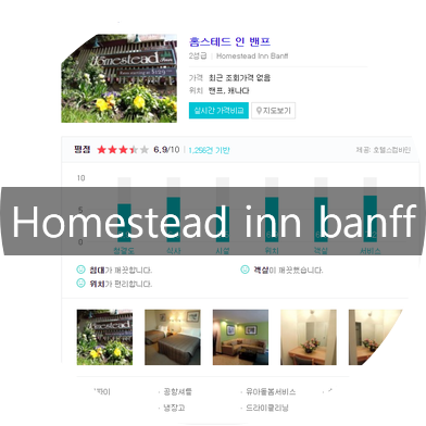 밴프호텔추천 홈스테드인밴프 (Homestead Inn Banff) : 네이버 블로그
