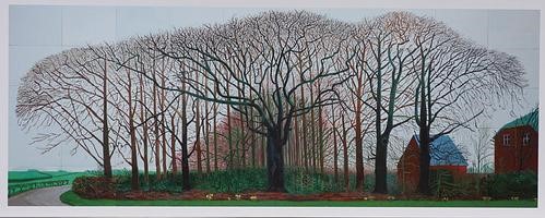 201943 .. 길고 긴 나무의 삶 : 네이버 블로그