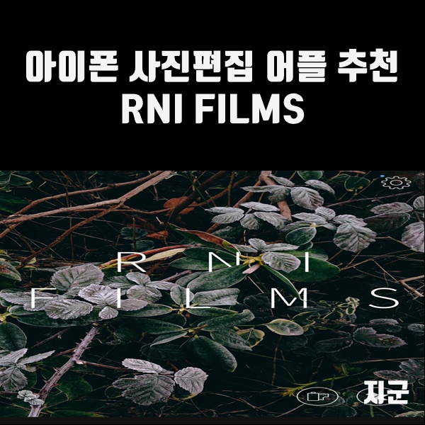 아이폰 사진 편집 어플 RNI FILMS : 네이버 블로그