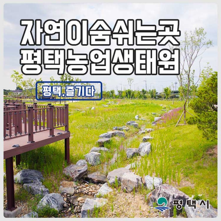 자연이 살아 숨 쉬는 곳 평택시농업생태원 네이버 블로그