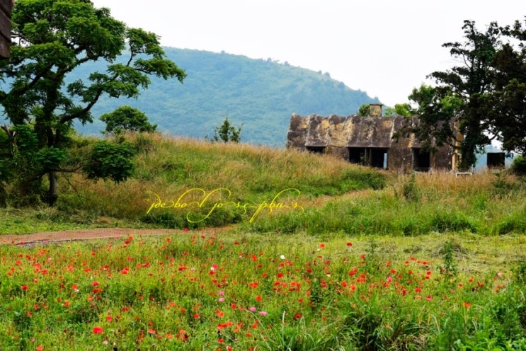 테쉬폰(Ctesiphon) : 네이버 블로그